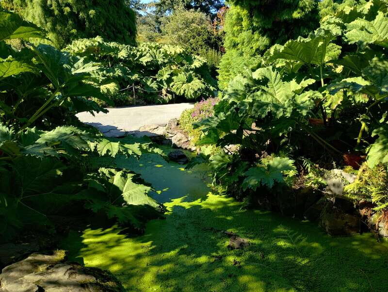 Vancouver Car Tour: See All City Attractions/Save Time&Money - Practical Details and Booking Tips