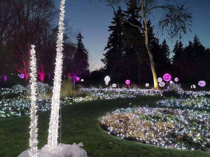 Vancouver: Christmas Tour with Light Festival Entrance - Practical Tips & Considerations