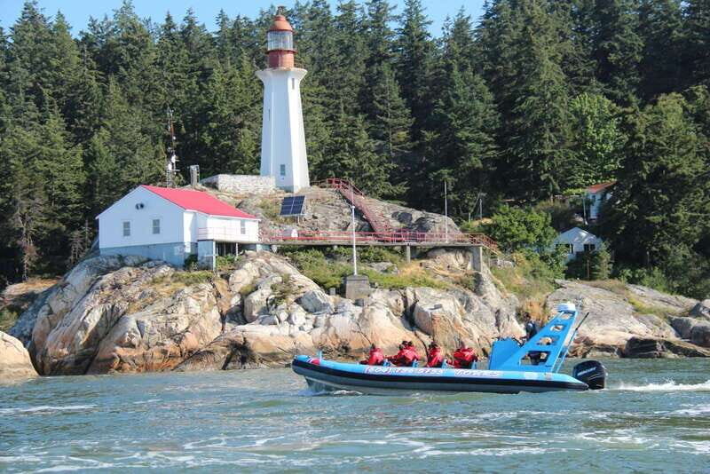 Vancouver: City and Seal Boat Tour - An In-Depth Look at the Vancouver: City and Seal Boat Tour