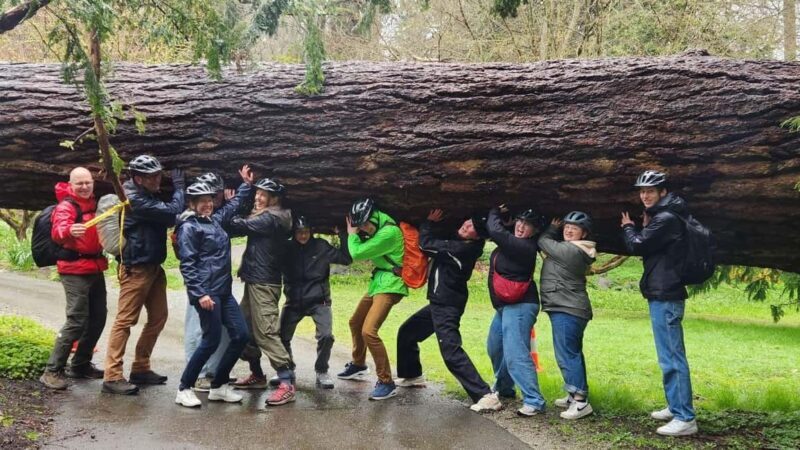 Vancouver: City Bike Tour | E-Bike Upgrade Avail. | 4-Hours - Why This Bike Tour Stands Out