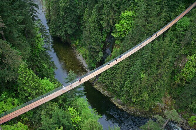 Vancouver City Sightseeing Tour: Capilano Suspension Bridge & Vancouver Lookout - The Value of This Tour