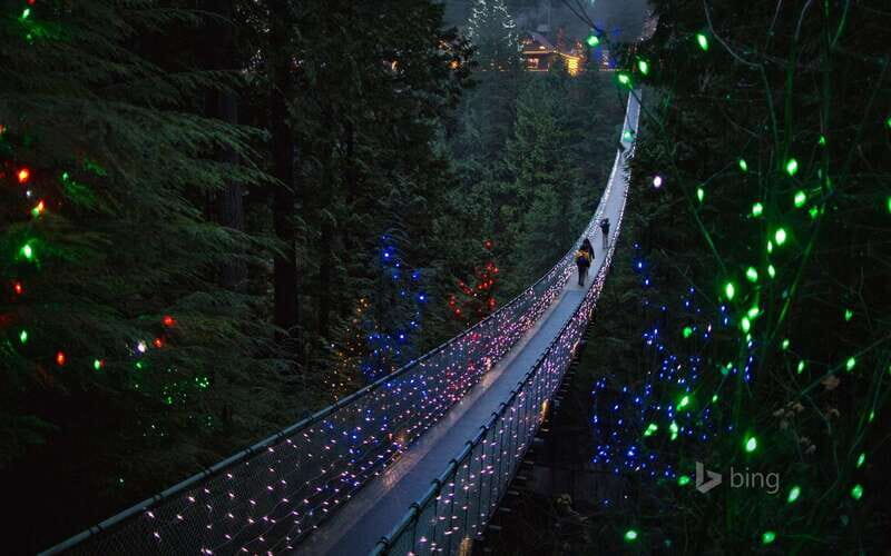 Vancouver: City Tour with Capilano Suspension Bridge - A Closer Look at the Tour Itinerary