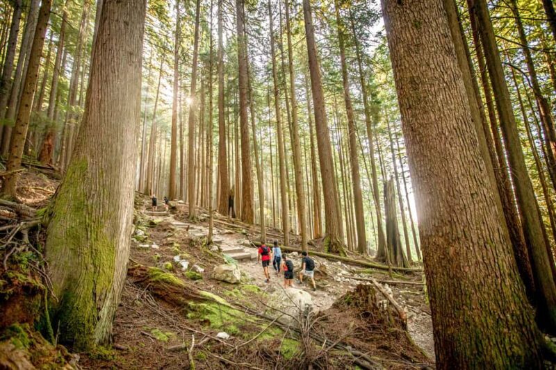 Vancouver: Guided Hiking Highlights at Grouse & Lynn Canyon - An Authentic Day in Vancouver’s Outdoors