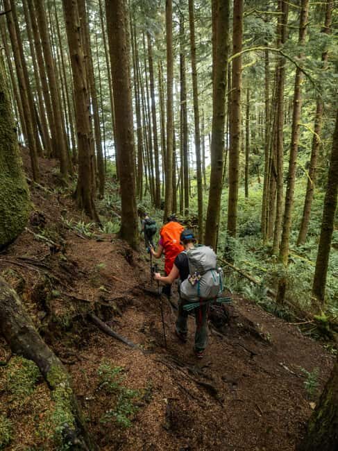 Vancouver: Guided Hiking Highlights at Grouse & Lynn Canyon - Scenic Gondola Ride and Suspension Bridge