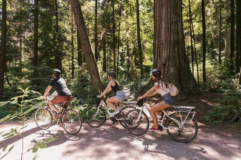 Vancouver: Half-Day City Highlights E-Bike Tour Age 16+ - The Breakdown of the Itinerary