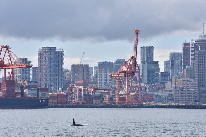 Vancouver Half-Day Whale Watching Adventure with Free Photos - FAQ