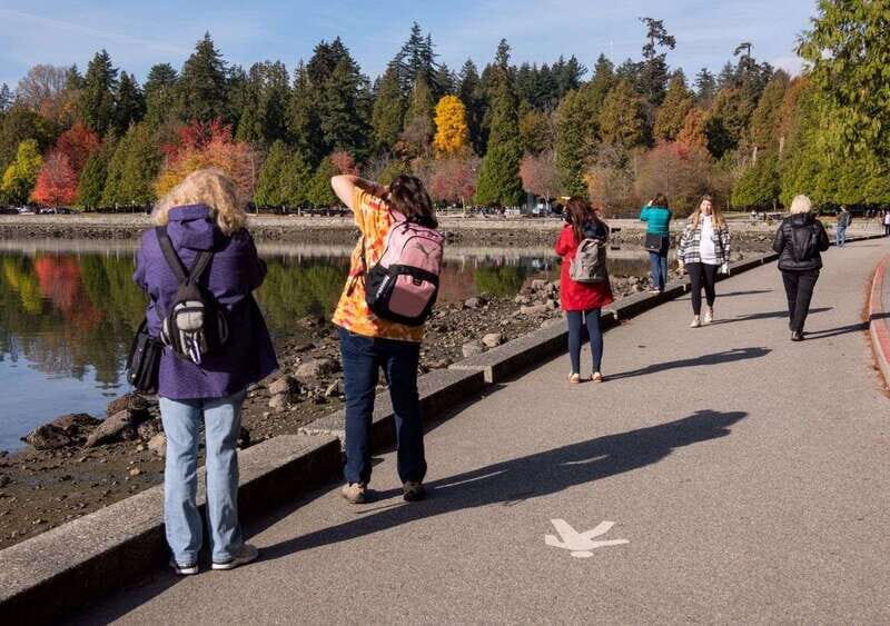 Vancouver: Highlights & Hidden Gems Private Tour - Who should consider this tour?