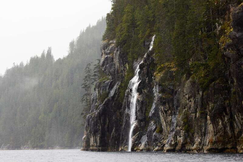 Vancouver Island: Full-Day Grizzly Bear Tour at Toba Inlet - FAQs