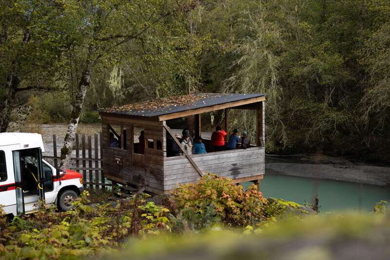 Vancouver Island: Full-Day Grizzly Bear Tour at Toba Inlet - Final Thoughts