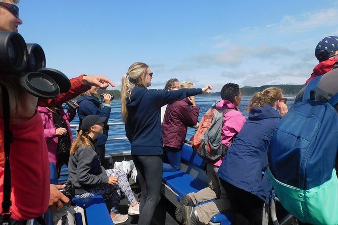 Vancouver Island Half-Day Whale Watching Tour - Telegraph Cove - Practicalities and What You Need to Know