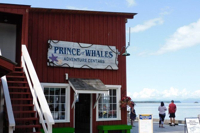 Vancouver Island Half-Day Whale Watching Tour - Telegraph Cove - FAQ