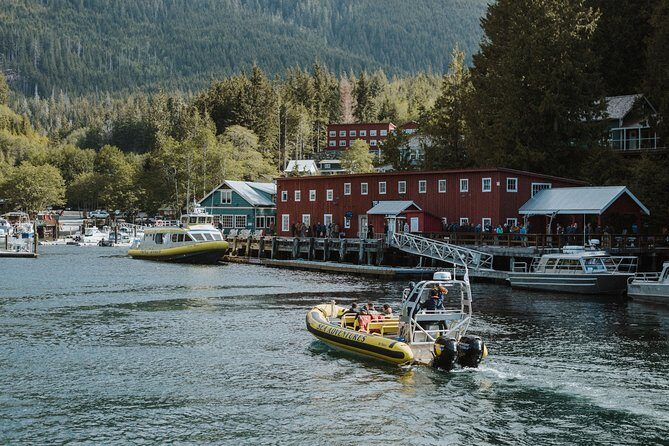 Vancouver Island Zodiac Whale Watching Adventure - Telegraph Cove - What’s this tour all about?