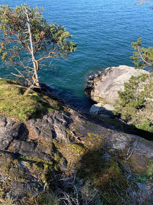 Vancouver: Lighthouse Park Hike - The Itinerary in Detail