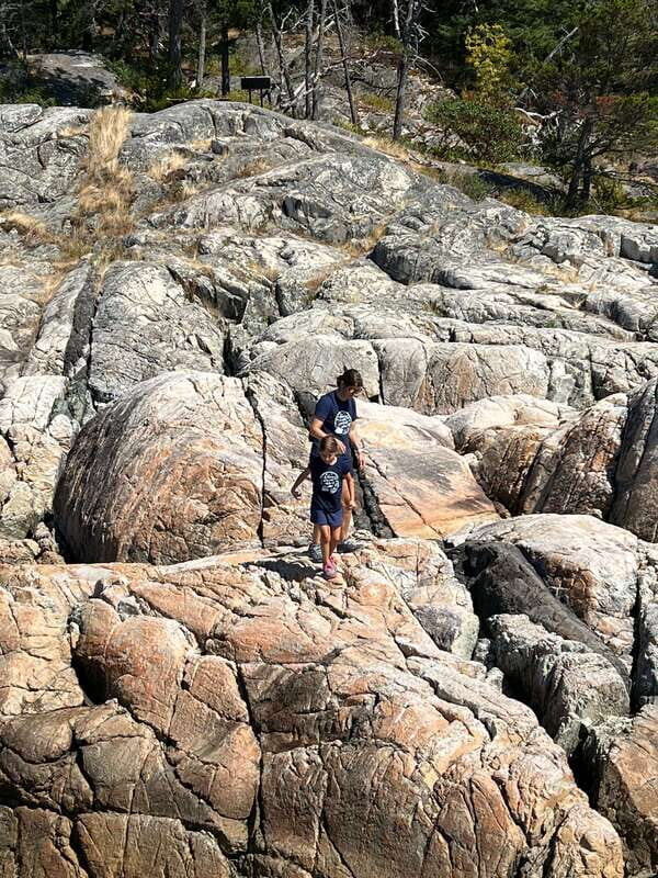 Vancouver: Lighthouse Park Hike - Who Will Love This Tour