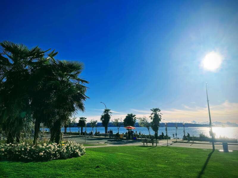 Vancouver Marvels: Private Day Tour Exploring 25 Attractions - Key Points