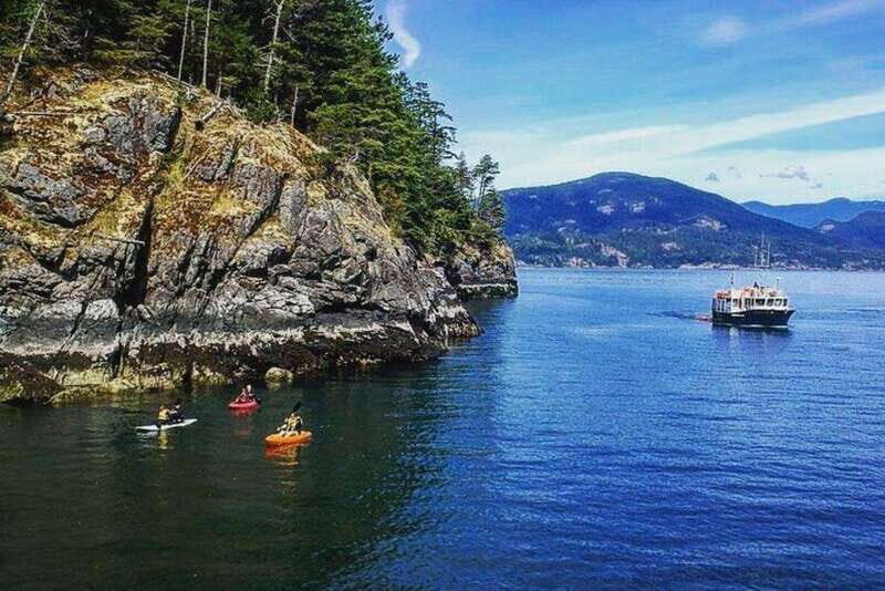 Vancouver: Morning Kayak & Seal Cruise - Equipment, Comfort, and Safety