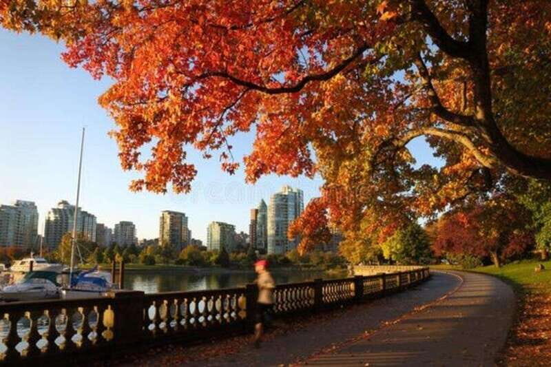 Vancouver : Must-See Attractions Walking Tour With A Guide - Who Will Love This Tour?