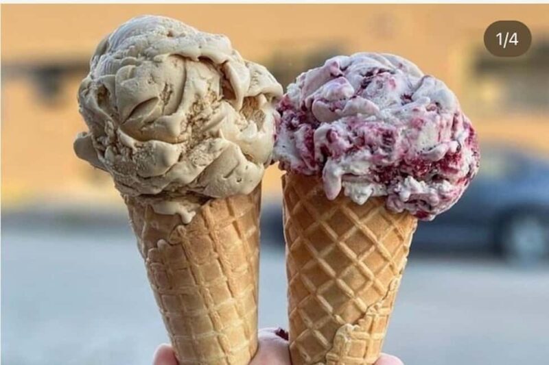 Vancouver: North Shore Food Tour with Harbour ride - Final Thoughts: Is It Worth Signing Up?