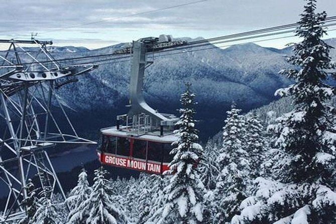 Vancouver Perfect Day Tour Grouse Mountain`& Capilano Suspention Bridge Private - The Value of This Tour