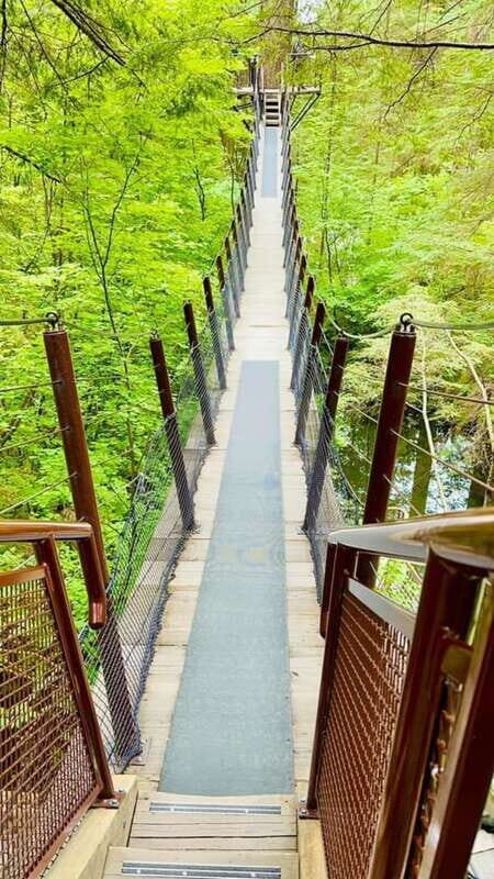 Vancouver: Private Tour City Sights, FlyOver & Capilano - Exploring Vancouver in One Day: An Honest Look at the Private Tour