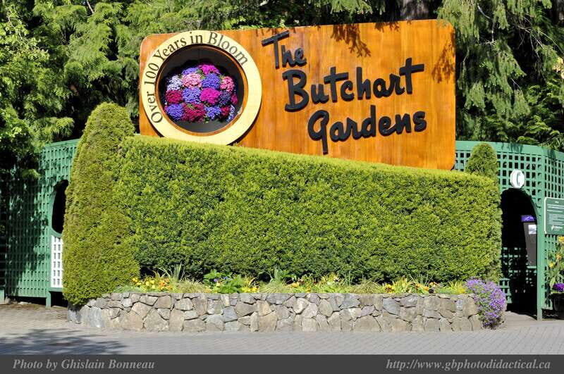 Vancouver: Private Victoria and Butchart Gardens Ferry Tour - Who Is This Tour Best For?