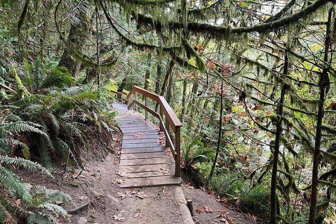 Vancouver Rainforest Hike with Waterfalls, Suspension Bridge, Old Growth Forest - Practical Tips for Future Hikers
