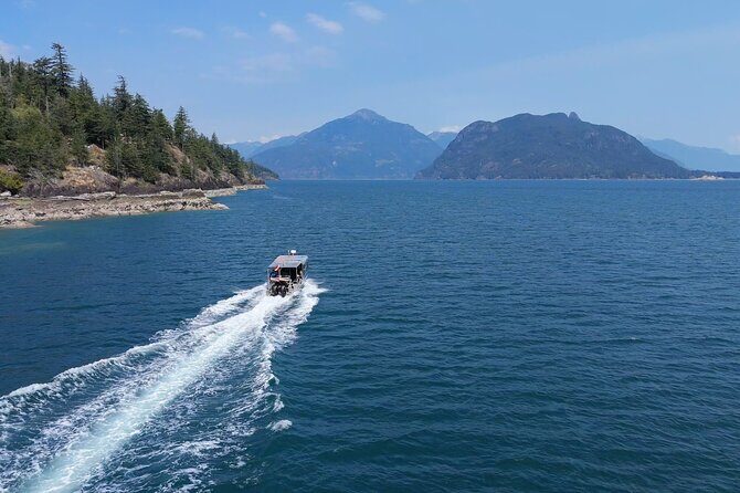 Vancouver: Snorkeling Seals Kayaking Scenic Boat Tour - Introduction