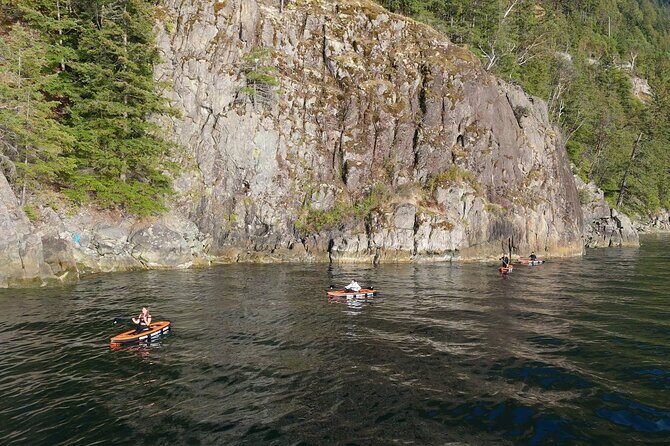 Vancouver: Snorkeling Seals Kayaking Scenic Boat Tour - An In-Depth Look at the Experience