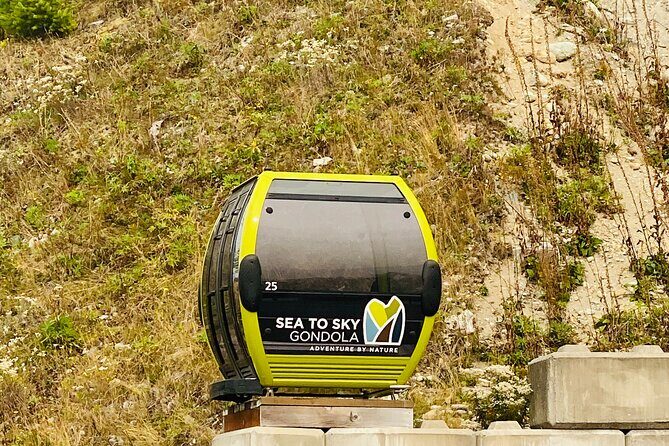 Vancouver, Squamish & Shannon fall Day Private Tour - Exploring Vancouver and Its Surroundings: What to Expect