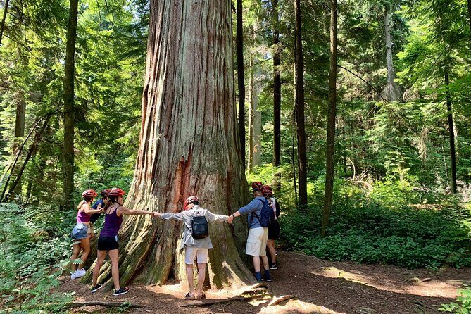 Vancouver Stanley Park 3 Hour Bike Tour - The Itinerary: What You Can Expect