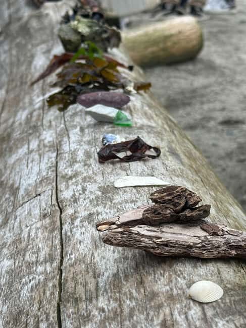 Vancouver: Stanley Park Salish Sea & Me - The Value of the Experience