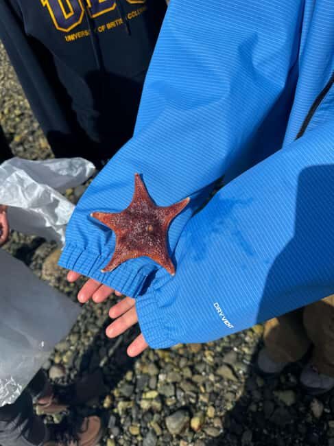 Vancouver: Stanley Park Salish Sea & Me - Authentic Insights from Reviews