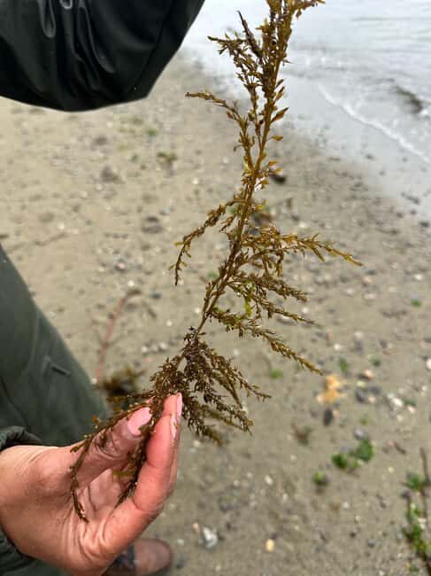 Vancouver: Stanley Park Salish Sea & Me - Practical Tips for Travelers