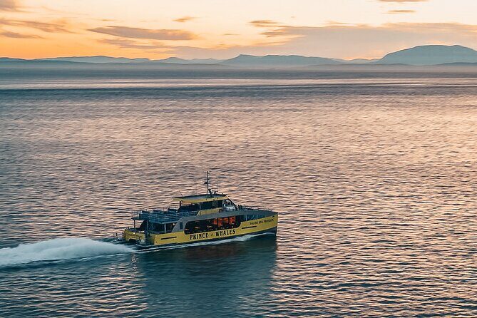 Vancouver Sunset Whale Watching Adventure with Free Photos - Detailed Review of the Vancouver Sunset Whale Watching Adventure