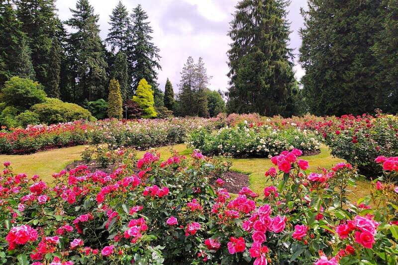 Vancouver The Grand City Tour - FAQs