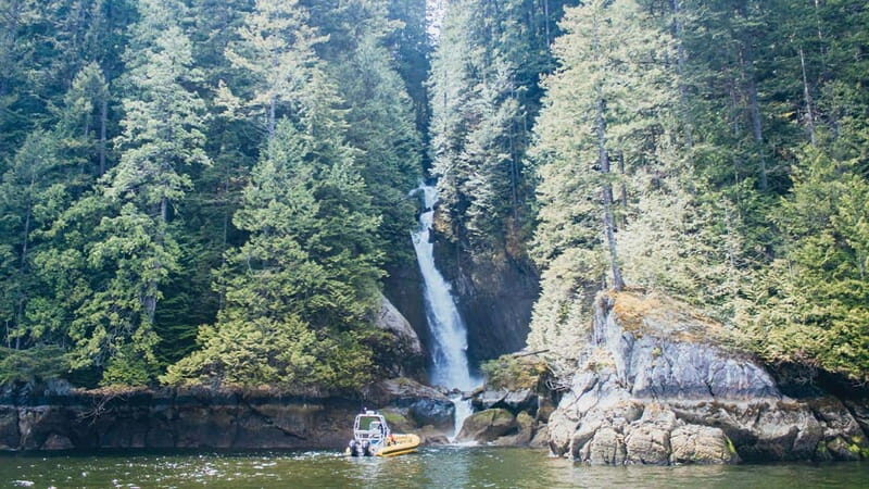 Vancouver: Waterfront Sightseeing Tour - City and Waterfall - FAQ