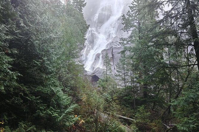 Vancouver Whistler Private Tour - The Experience From the Reviewers’ Perspective