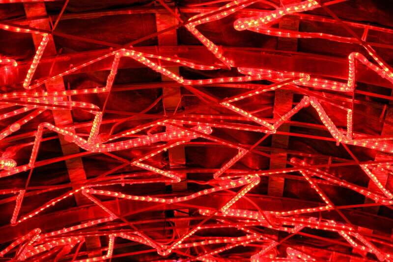 Vancouvers Festive Shoreline: A Christmas Walking Tour - Authenticity and Atmosphere  