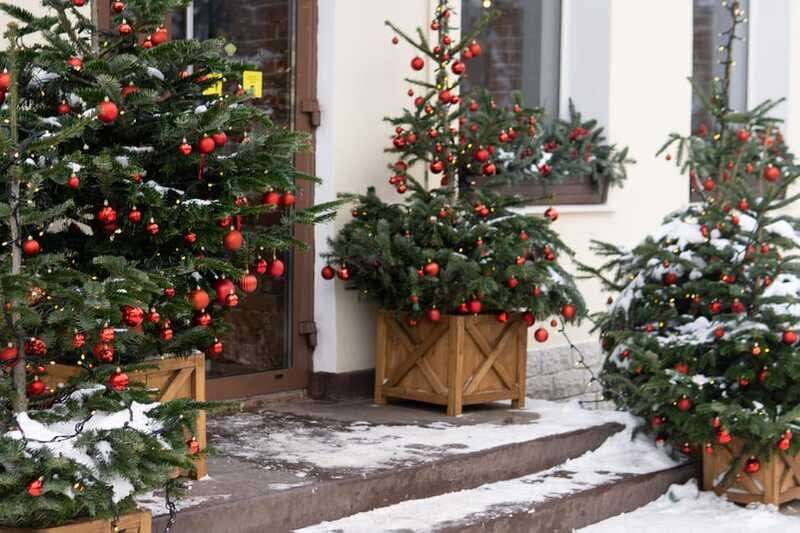 Vancouvers Festive Shoreline: A Christmas Walking Tour - Value for Money  