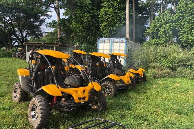 Vanuatu Buggy Adventure with Yumi Tours - Food and Comfort: What’s Included