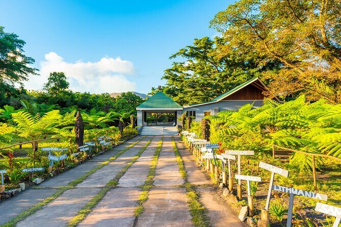 Vanuatu Island Discovery: Full Day Private Shore Tour from Port - Discovering Efate: An Overview of the Itinerary