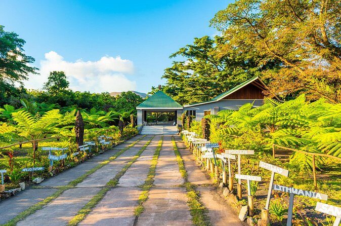 Vanuatu Island Discovery: Full Day Private Shore Tour from Port - Who Should Consider This Tour?
