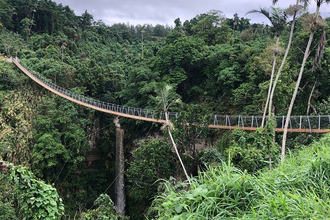 Vanuatu Skybridge with Transfers - Why This Tour Is Great for Travelers