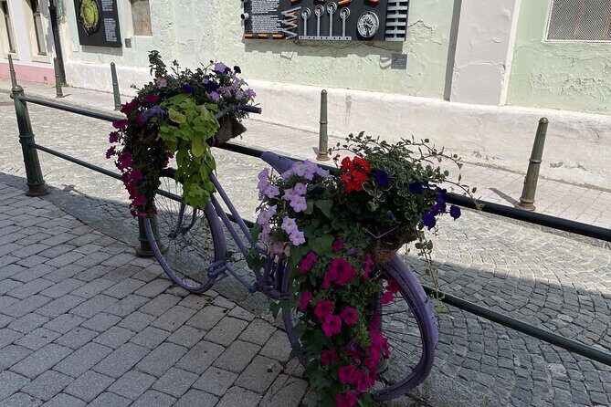 VarazdinTown & Trakoscan Castle, Small Guided Group from Zagreb - FAQ