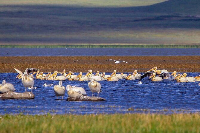Vardzia. Lake Paravani, Khertvisi & Lomisa castle, Rabati - Final Summary
