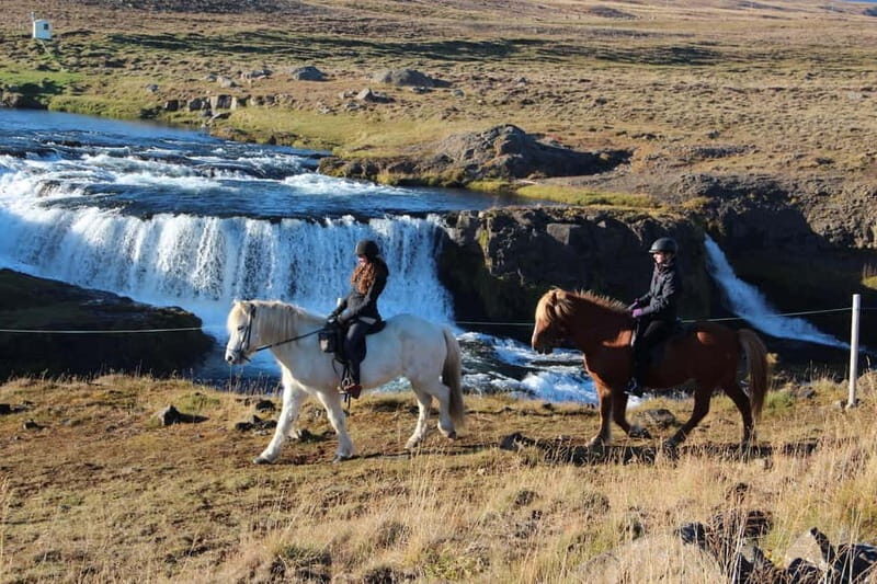 Varmahlid: Viking Horse Riding Tour - Key Points