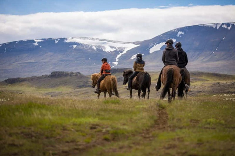 Varmahlid: Viking Horse Riding Tour - FAQ