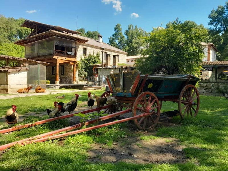 Varna: Guided VIP Tour - Cost and Value Analysis