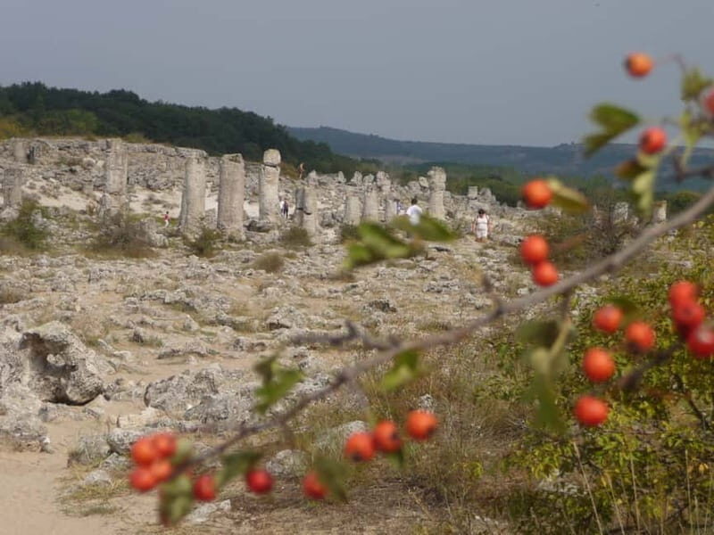 Varna: Guided VIP Tour - Reviews and Authentic Insights