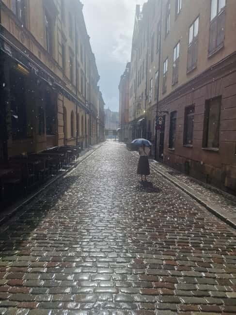 Vasa Museum and Icebar Stockholm - A Closer Look at the Itinerary